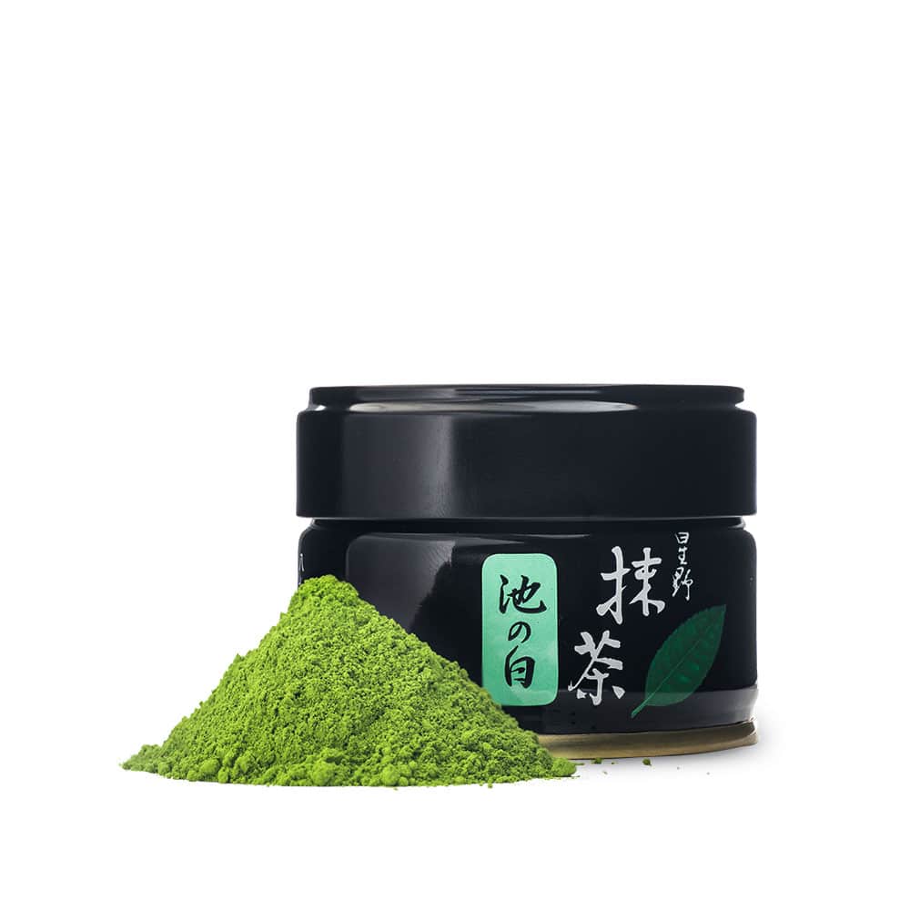 Japanese matcha, Ikenoshiro (Ceremonial) – Sing Tehus